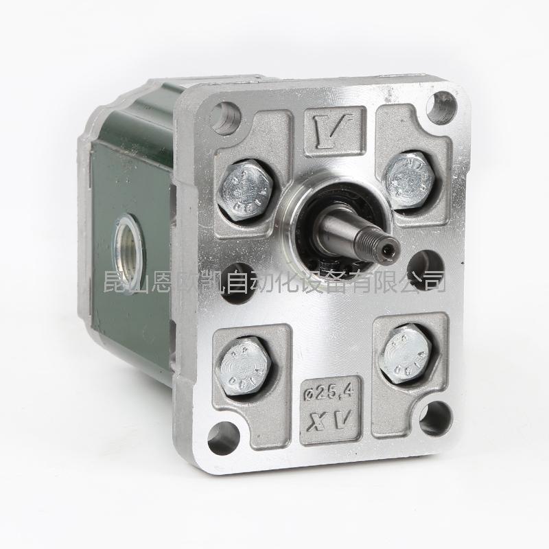 意大利齿轮泵VIVOIL X1P2502FBBA3.8cc-C0001 25.4 - 昆山恩欧凯自动化