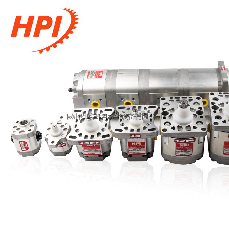French HPI Gear Pump P1DCK2515CL10C02N - 昆山恩欧凯自动化